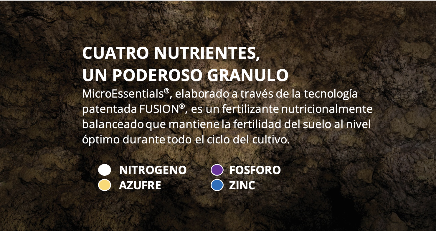 Sobre MicroEssentials® - MicroEssentials ES